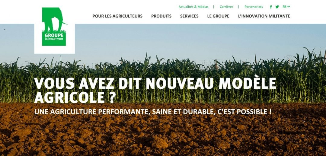 Le Groupe ÉLÉPHANT VERT lance son nouveau site web | The Rolling Notes